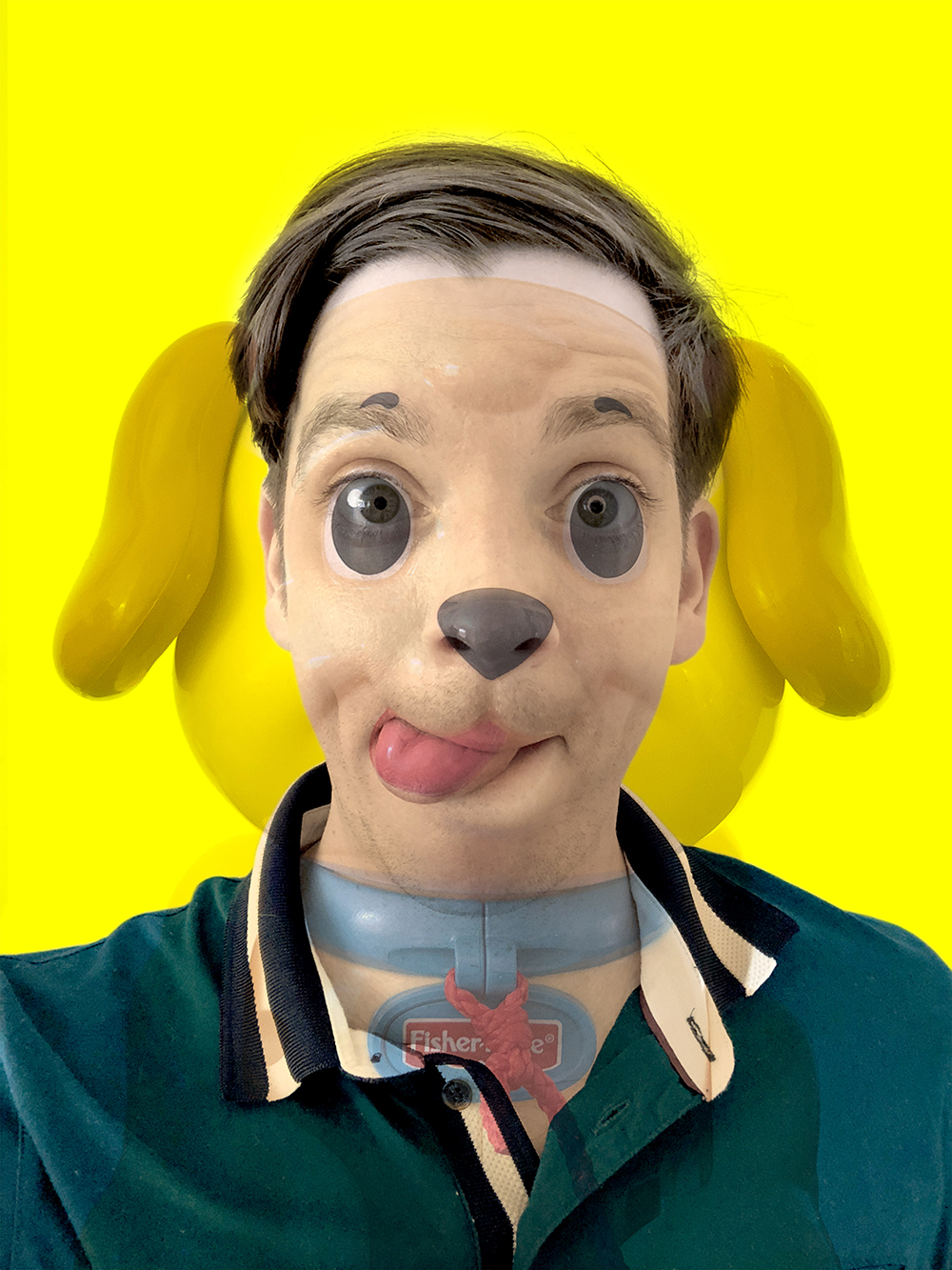 Dogification I – Daniel Theiler